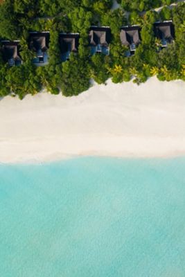 Resorts by the Beach, an Incredible Experience | ALL