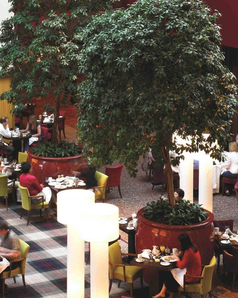 Zephyr | Bar in St Andrews