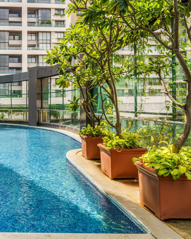 L'OH Pool | Sofitel Mumbai BKC