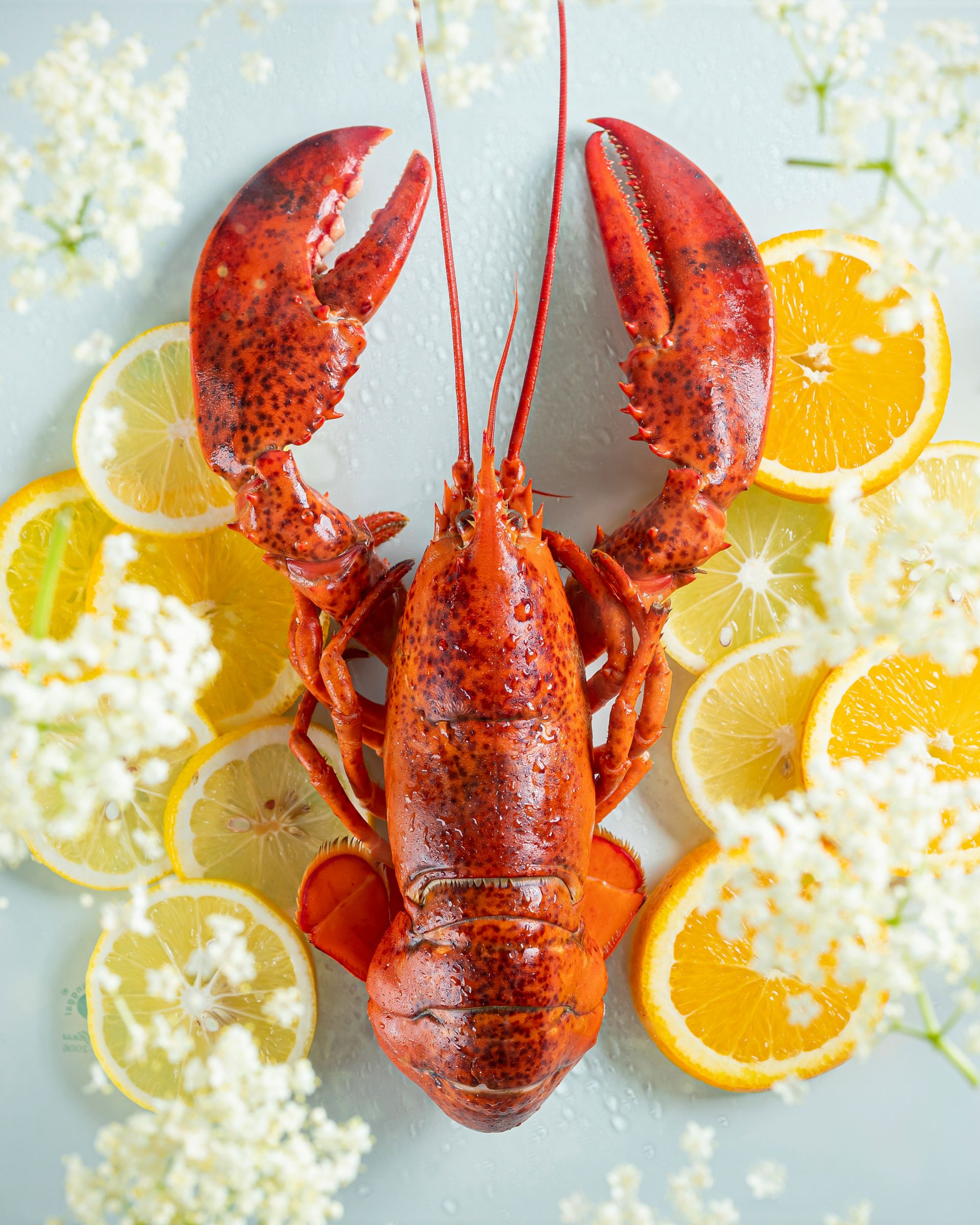 Arts Café by Raffles - Raffles Jakarta